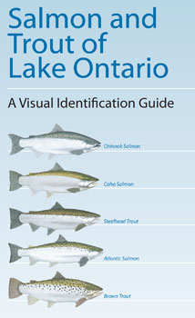Sea Grant’s Lake Ontario Fish Identification Guide is Accurate Aid for Anglers - Great Lakes ...